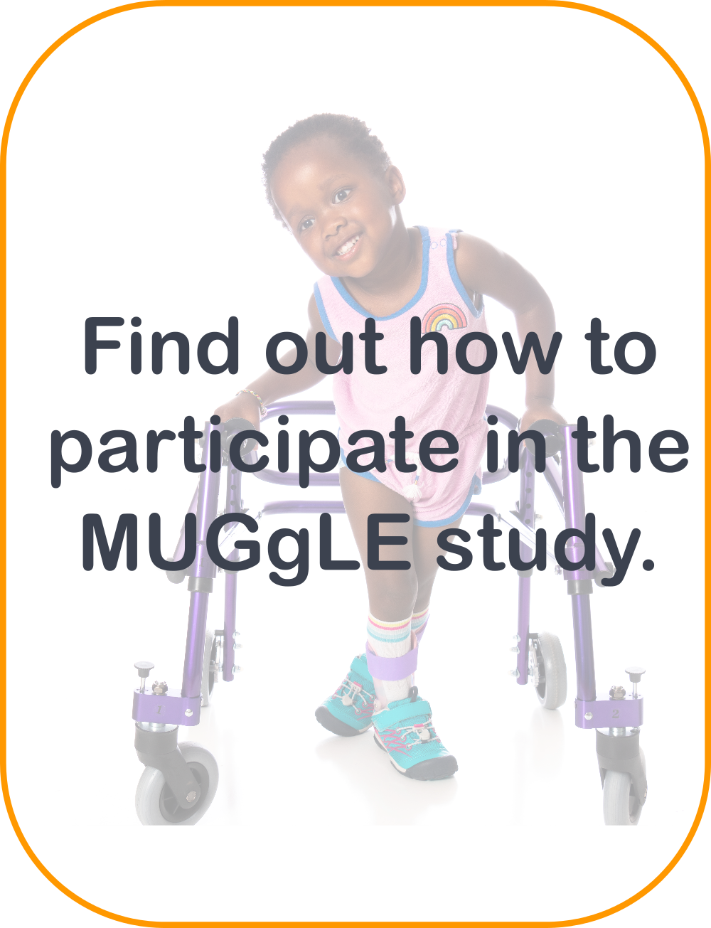 Muggle – muggle study website